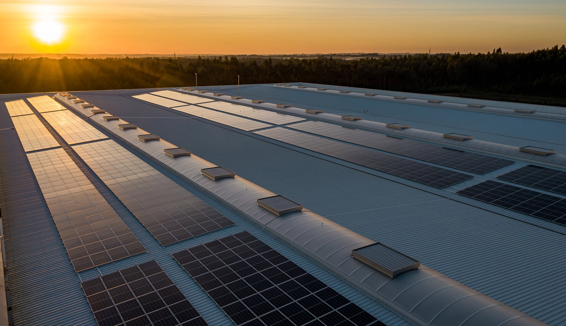 Amber Energy Cooperative Inc.